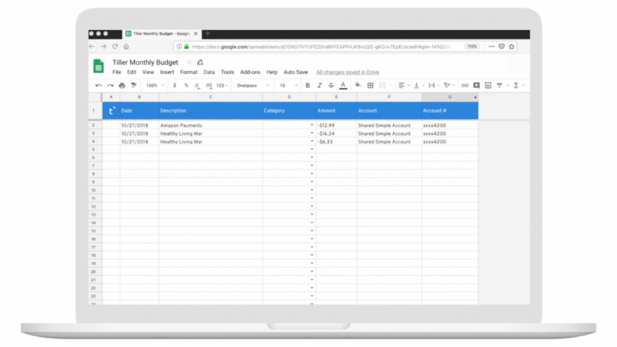 How To Build Your Own Personal Finance App In A Spreadsheet - Tiller