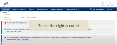 How To Export Citibank Statements Into Excel & Google Sheets - Tiller
